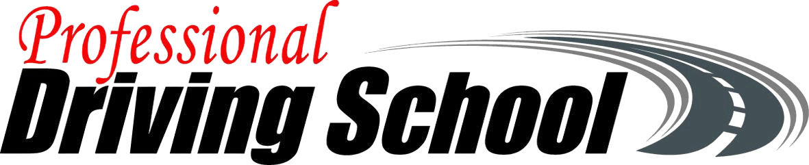 Our Team - Professional Driving School